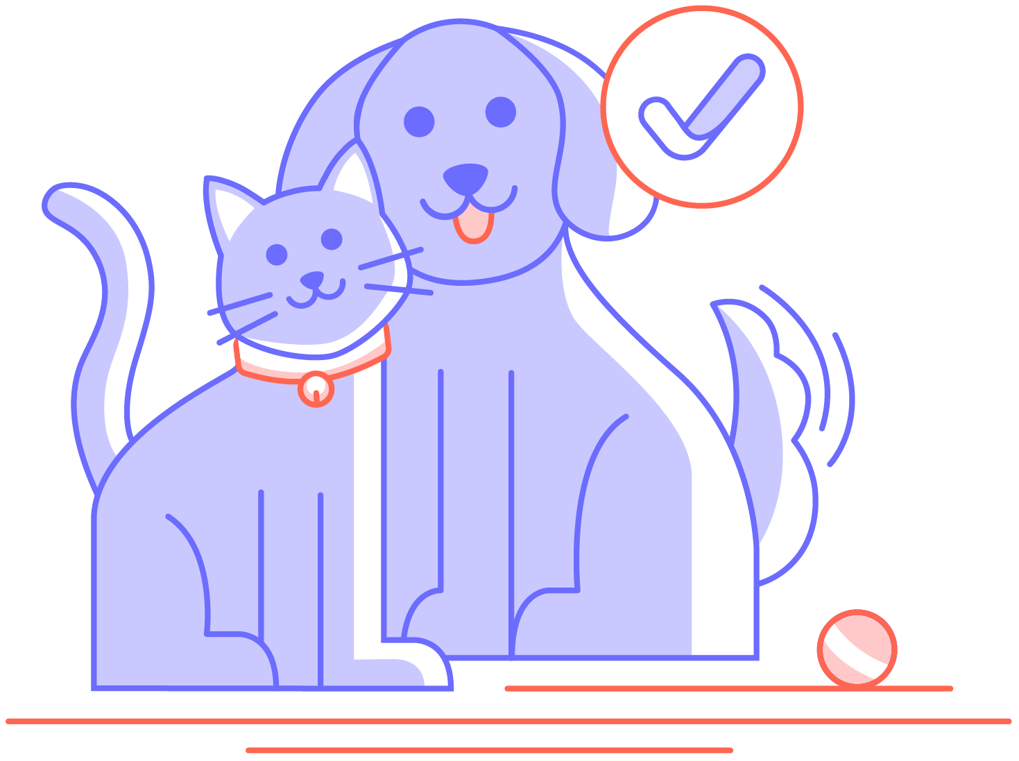 Pet Insurance Solutions | Igloo Insure